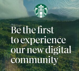 How to Create Your NFT Loyalty Program? | Crowdcreate